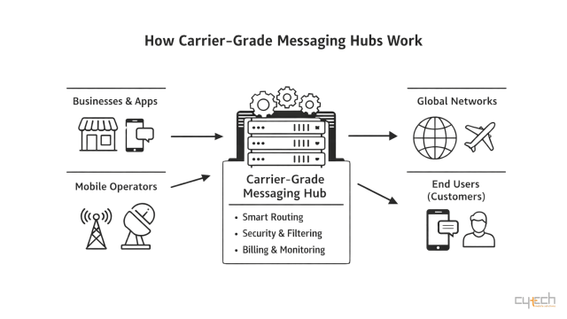 Top 4 Reasons Carrier-Grade Hubs Are Essential for the Future
